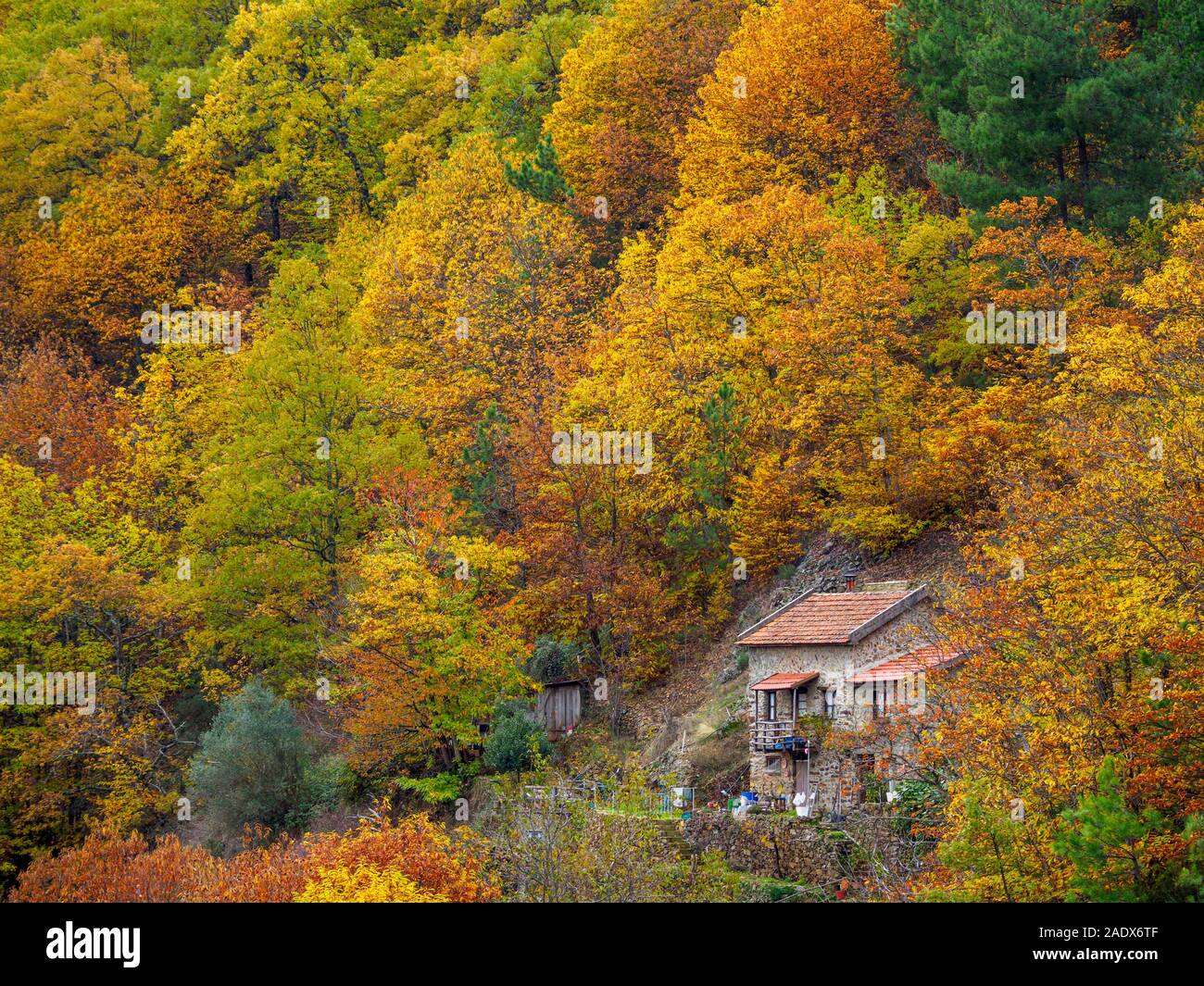 House, isolated, countryside hi-res stock photography and images - Alamy