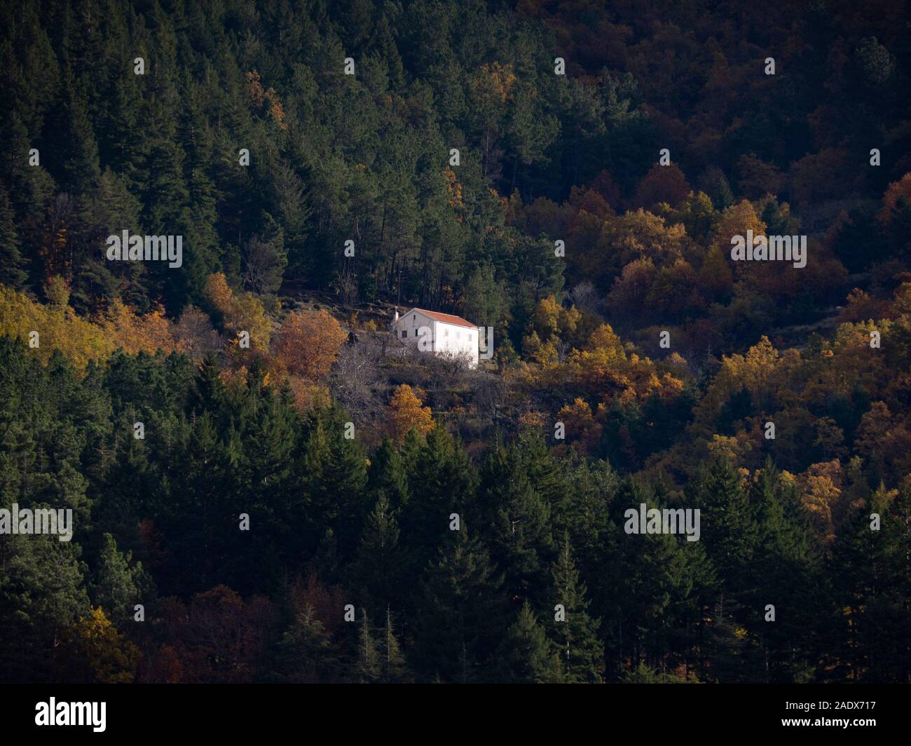 Stone cottage house woods hi-res stock photography and images - Alamy
