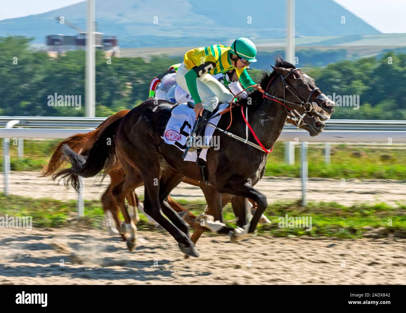 Russian racehorse hi-res stock photography and images - Alamy