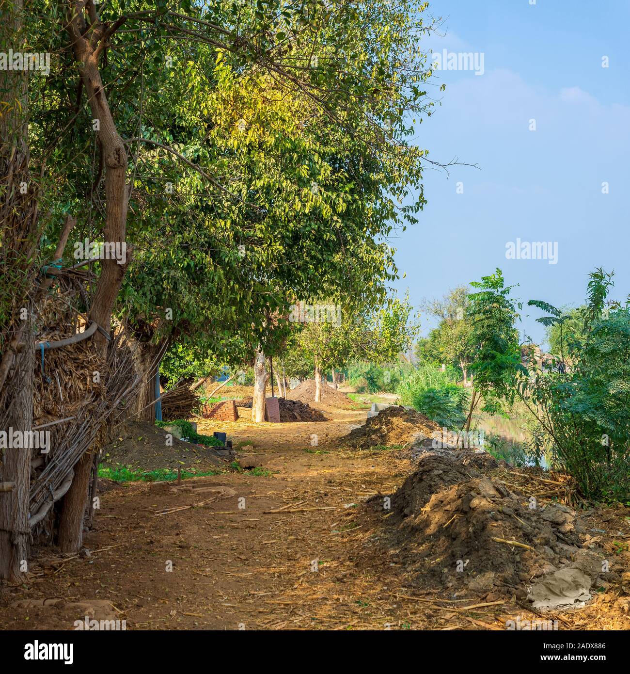 Large tree with spreading green crown in open air in valley under ...
