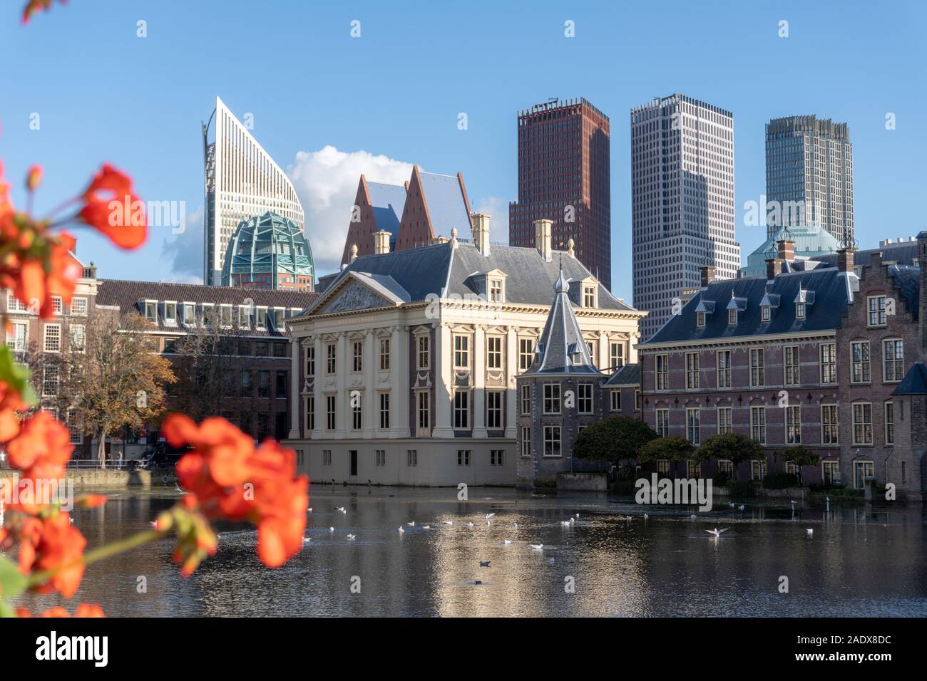 Yhe hague hi-res stock photography and images - Alamy