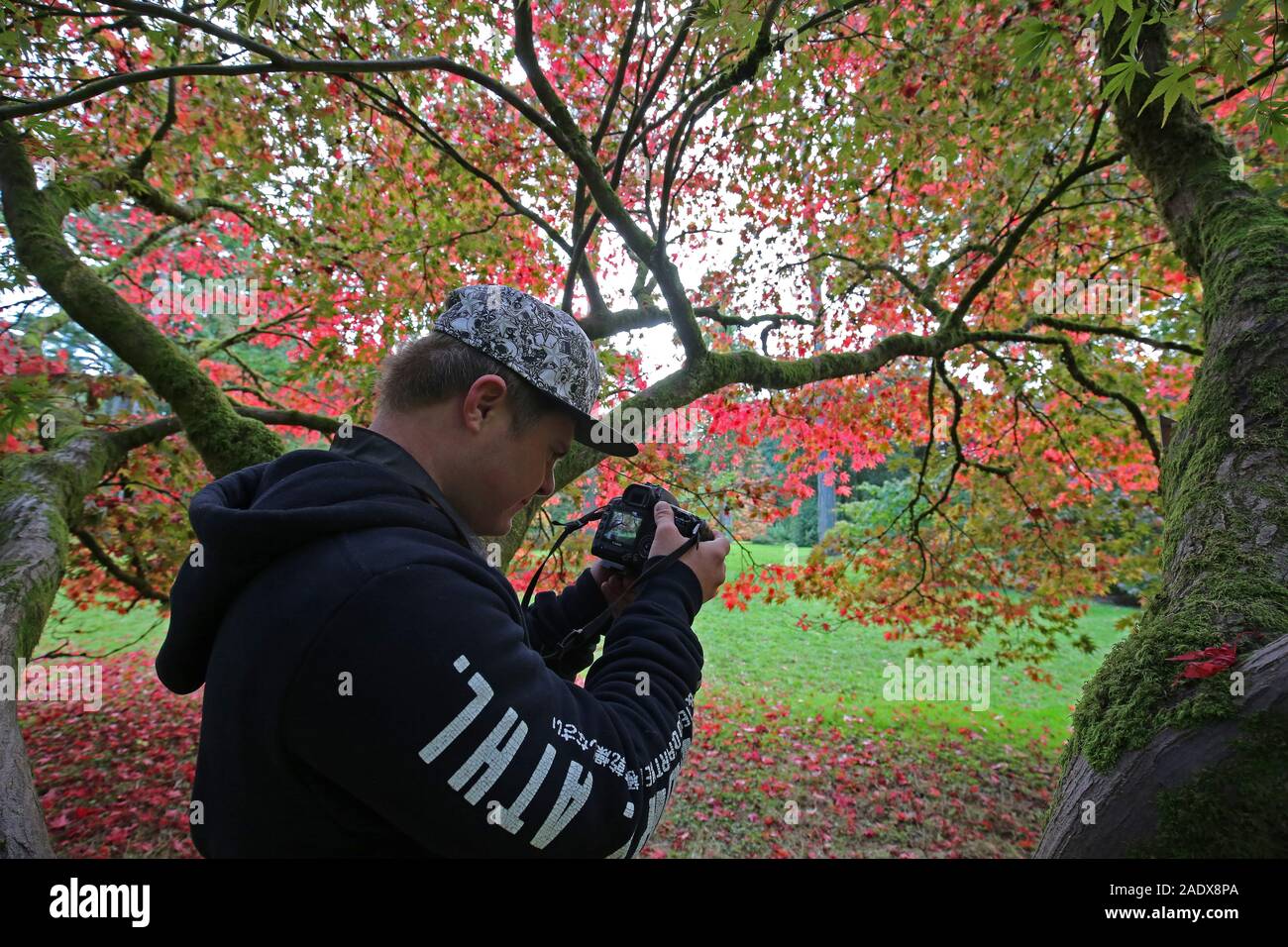 Oliver Hellowell Photographer with Down Syndrome out and about creating ...