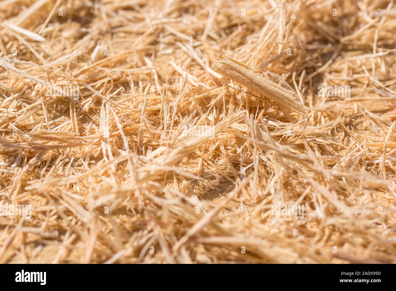 Wood splinter hi-res stock photography and images - Alamy