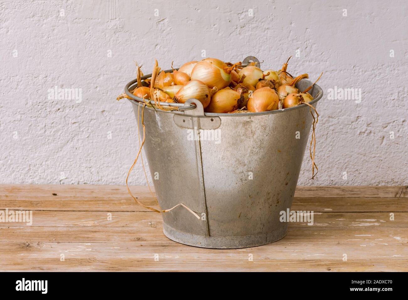 Aluminium bucket with onions hi-res stock photography and images - Alamy