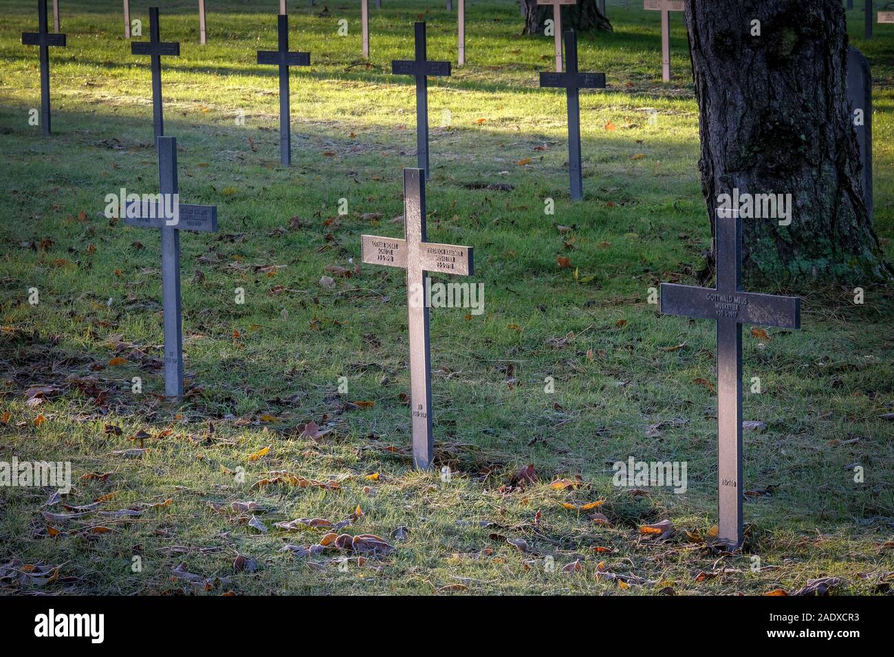 German WW1 national war cemetery at Neuville Saint-Vaast in France. It ...
