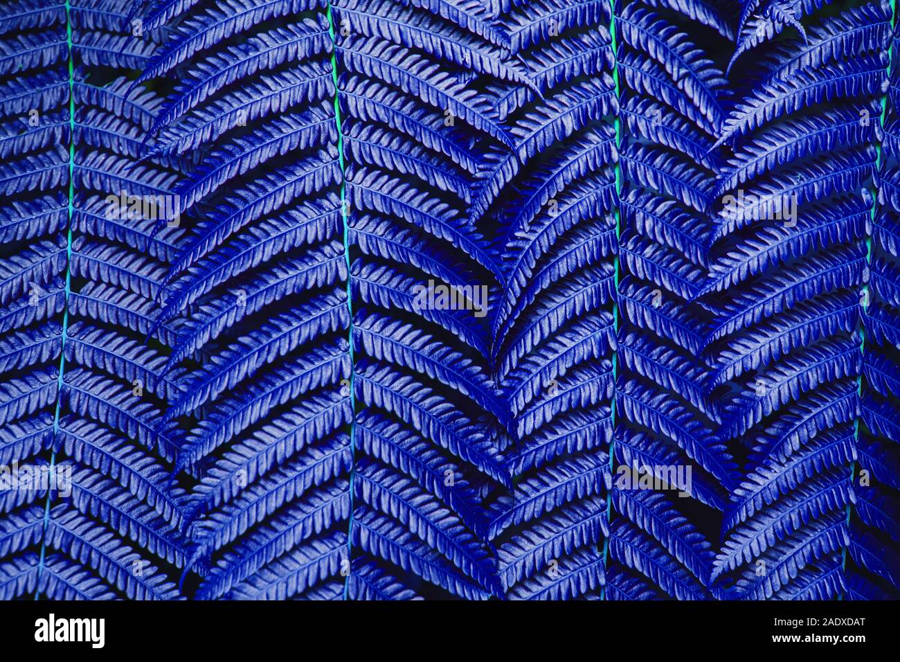 Horizontal Lines In Nature