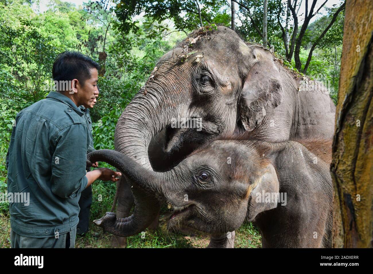 (191205) -- XISHUANGBANNA, Dec. 5, 2019 (Xinhua) -- Caregiver Luo ...