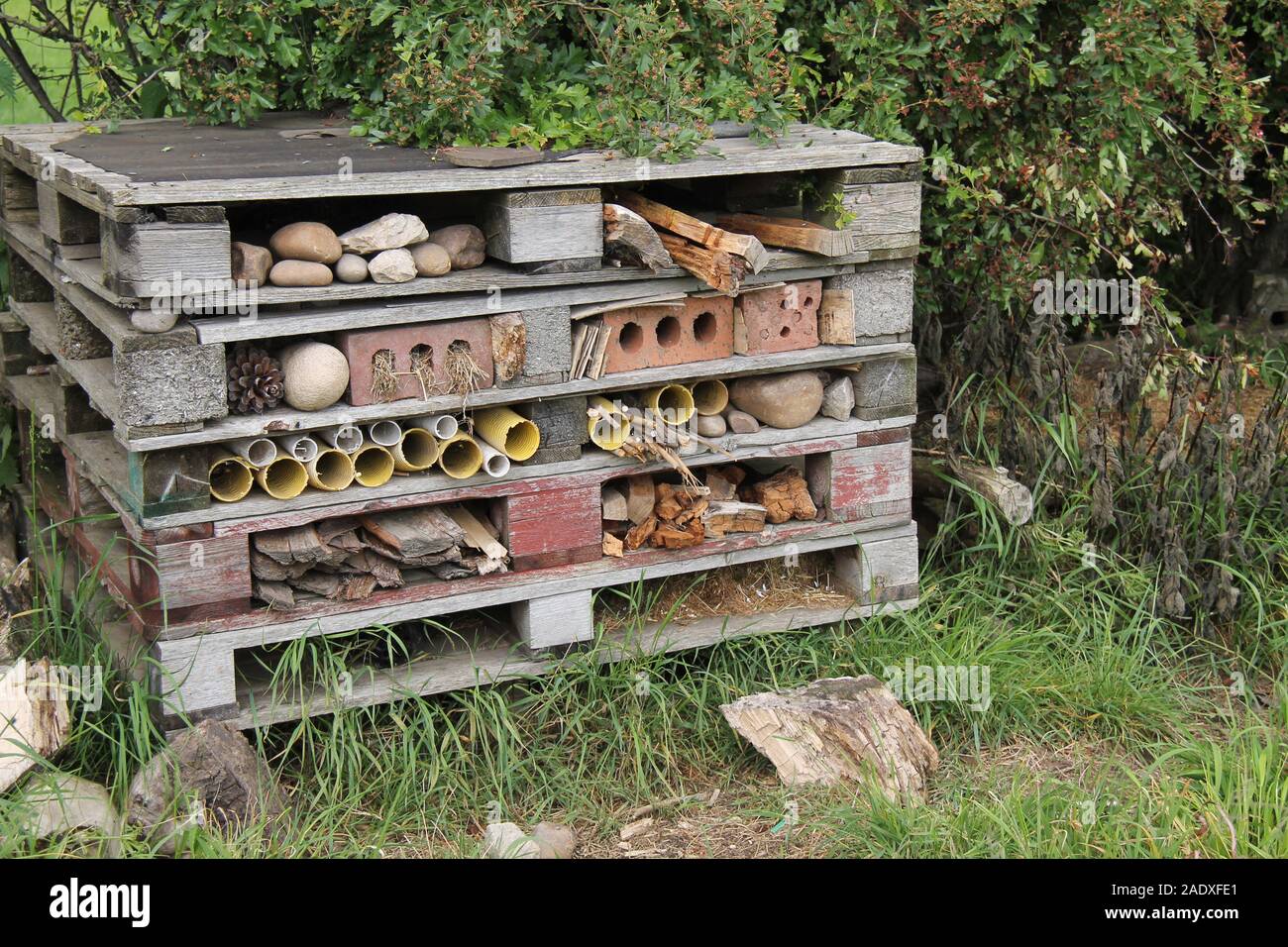 A Garden Refuge for Small Wild Animals and Insects Stock Photo - Alamy