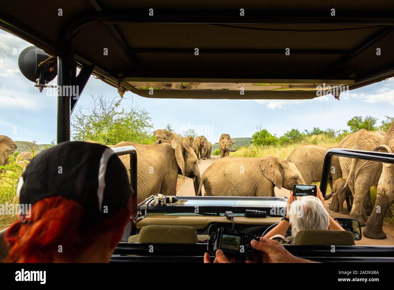 Savanna savannah ranger tracker hi-res stock photography and images - Alamy