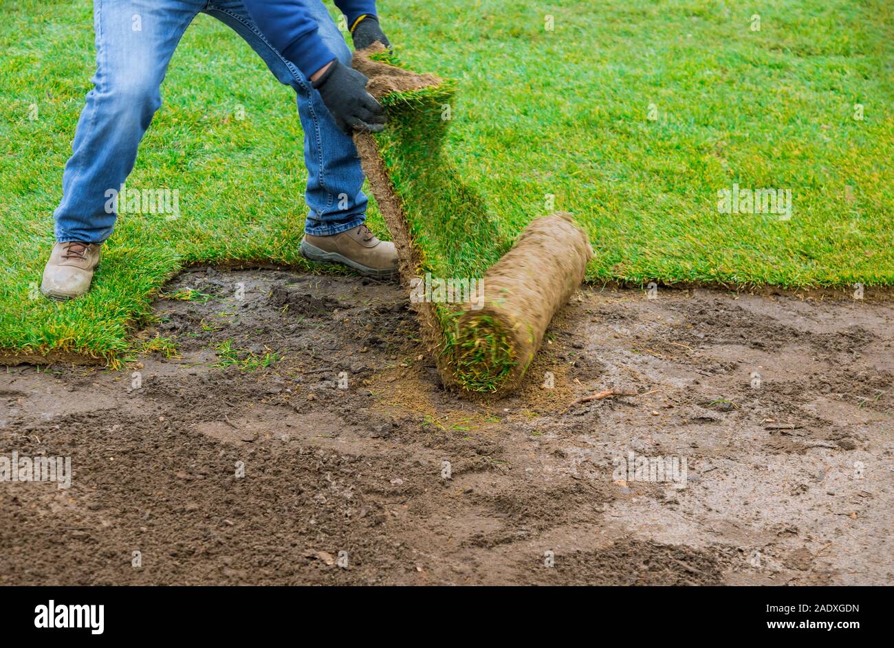 Unrolling laying rolls hi-res stock photography and images - Alamy