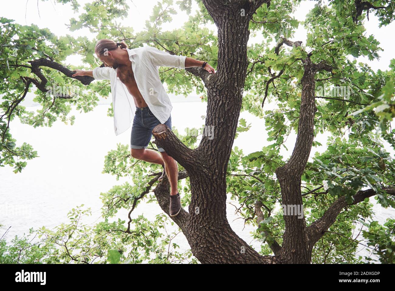 A young man climbed a tree in the forest to look around and find the ...