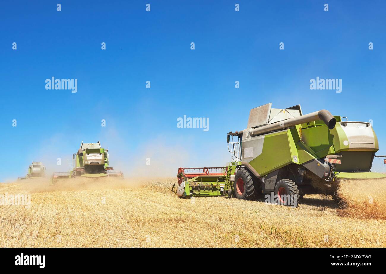 A few combines cutting a swath through the middle of a wheat field ...