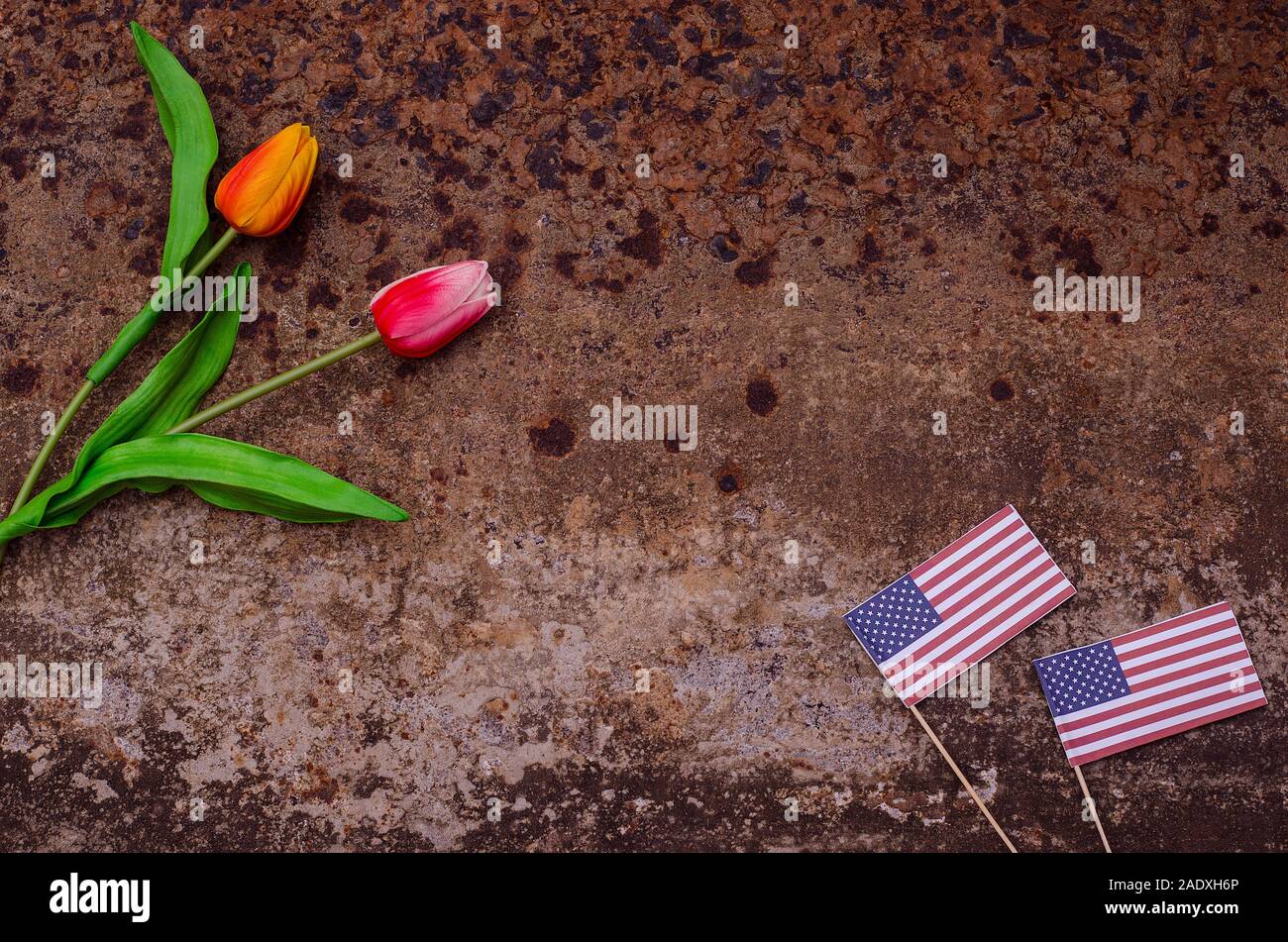 Memorial Day. Copy space on rust background with tulips and american ...