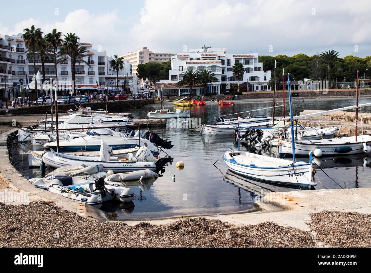 Es canar marina hi-res stock photography and images - Alamy
