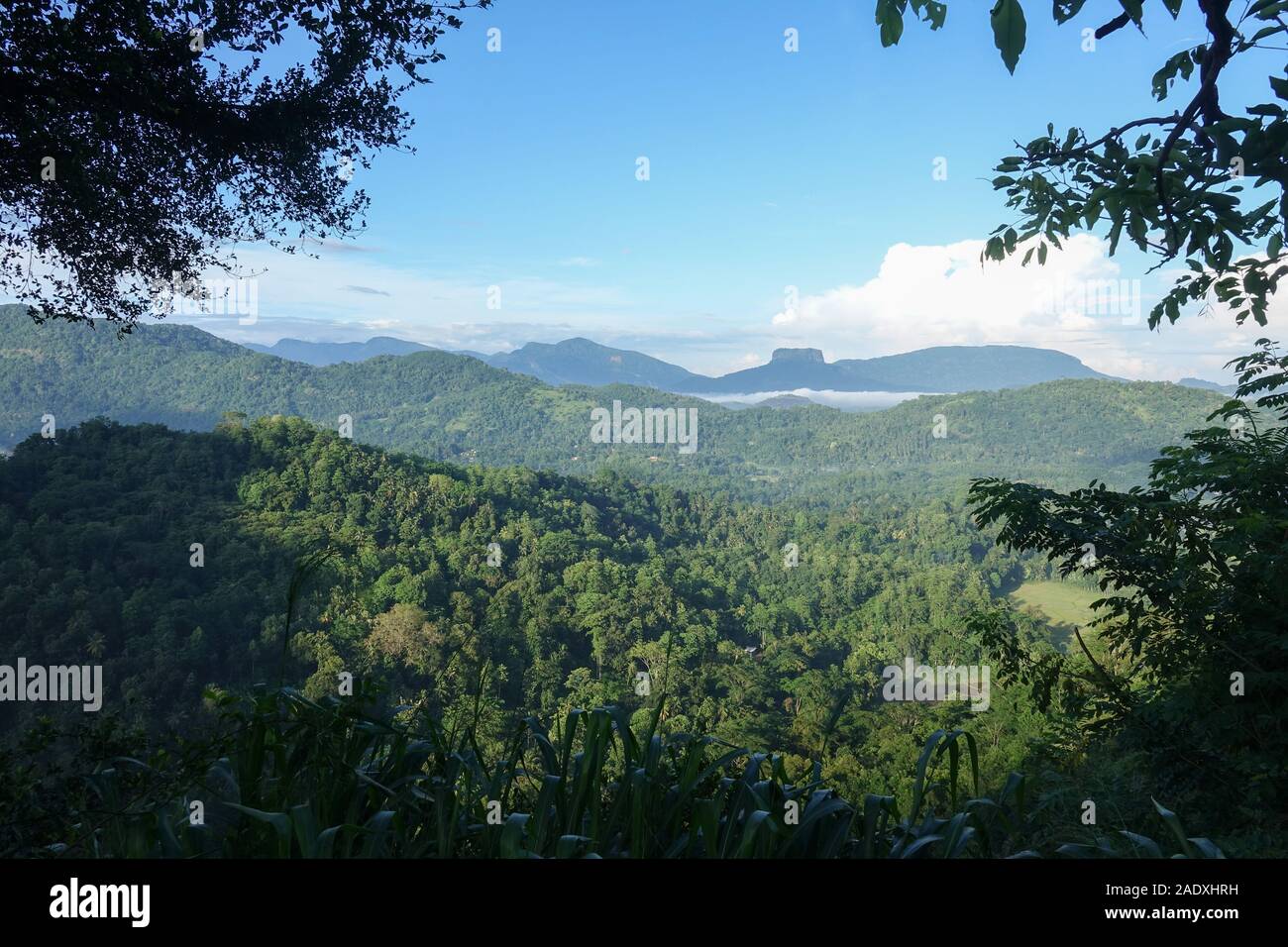 Bible Rock in the central part of Sri Lanka. Bathalegala mountain Stock ...
