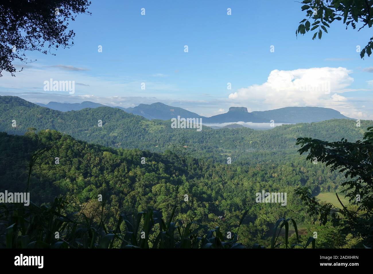 Bible Rock in the central part of Sri Lanka. Bathalegala mountain Stock ...