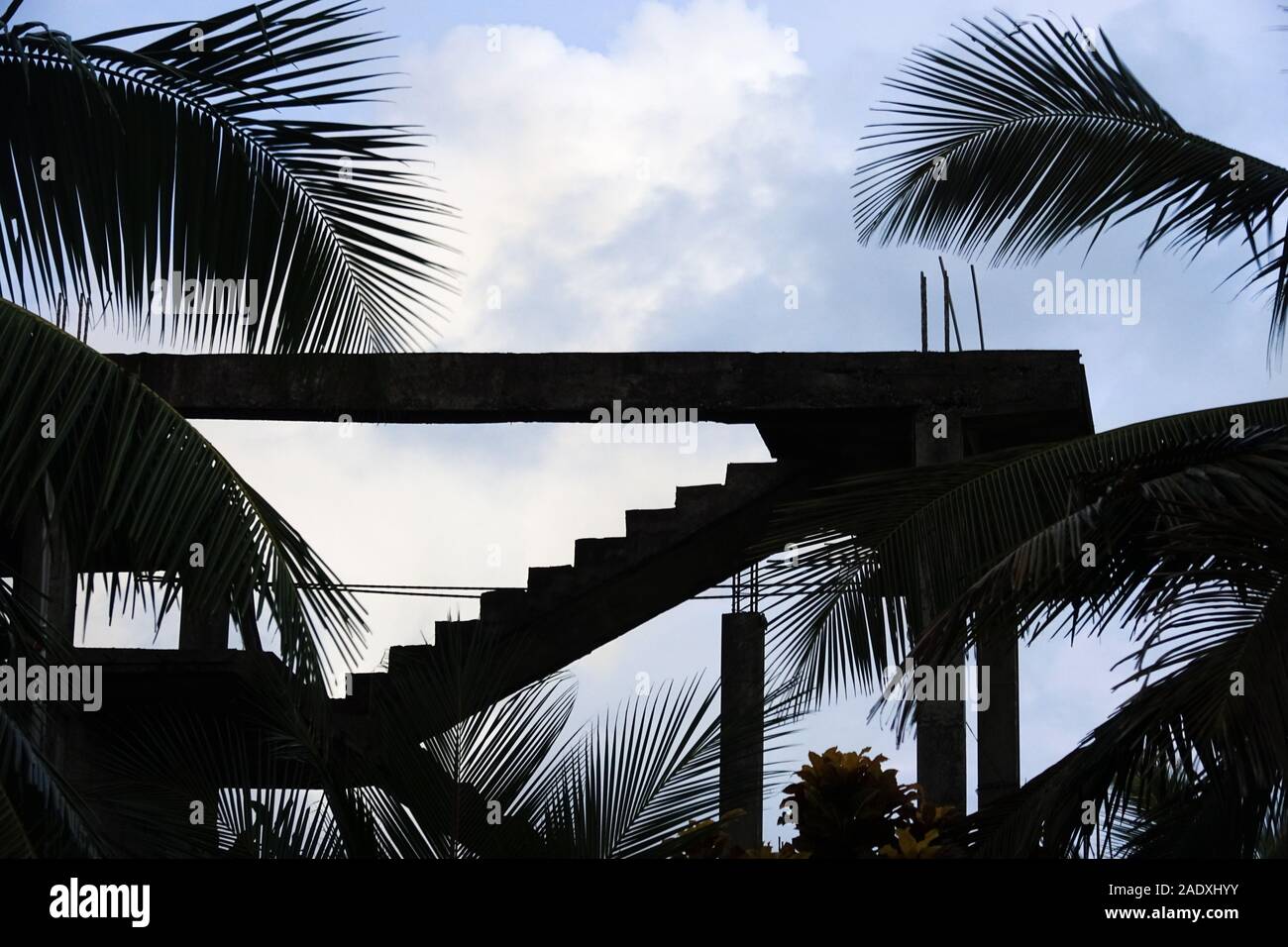Silhouette of a staircase of unfinished building and palm leaves on a ...