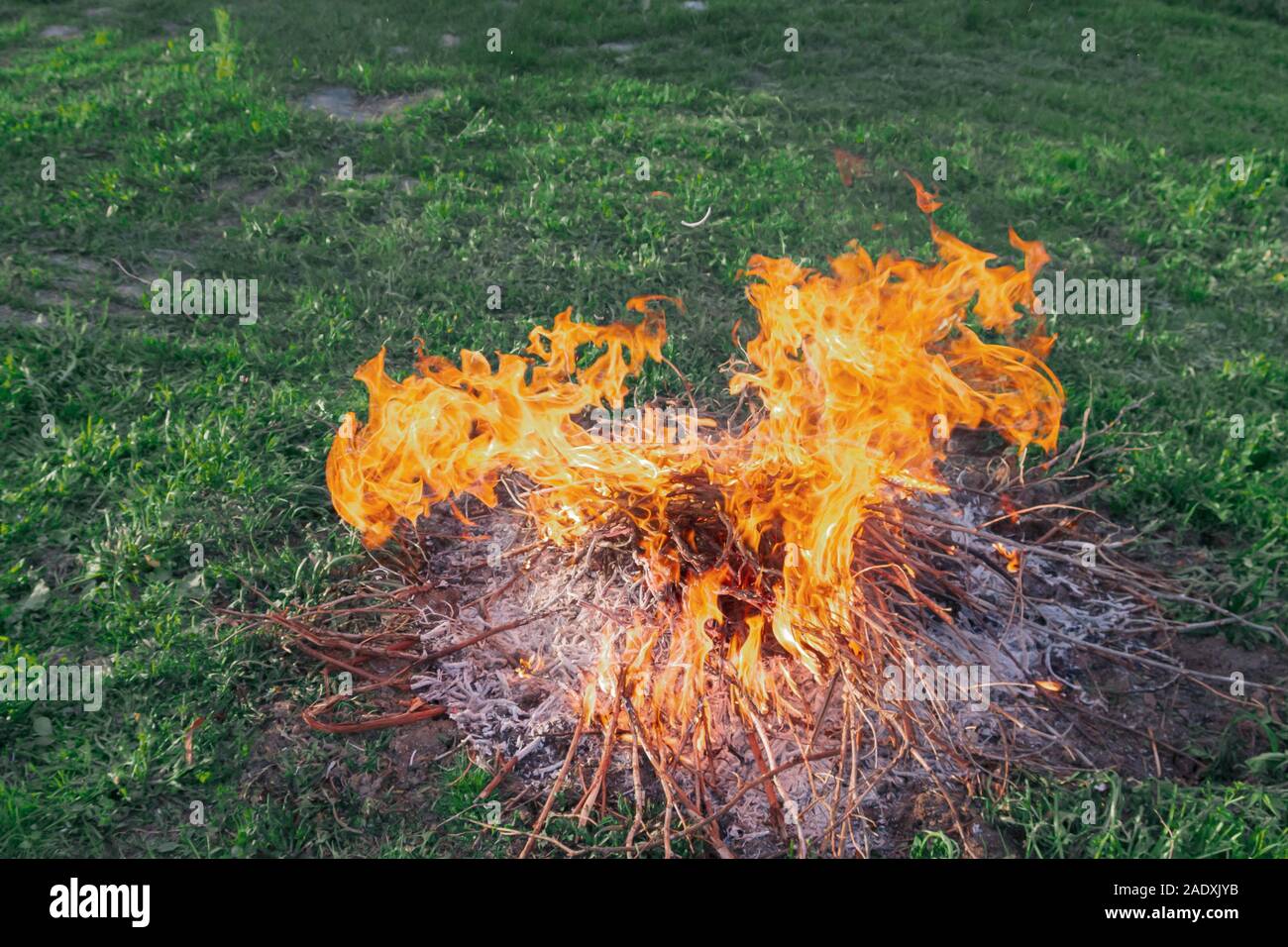 Fire of dry twigs on the green grass Stock Photo - Alamy