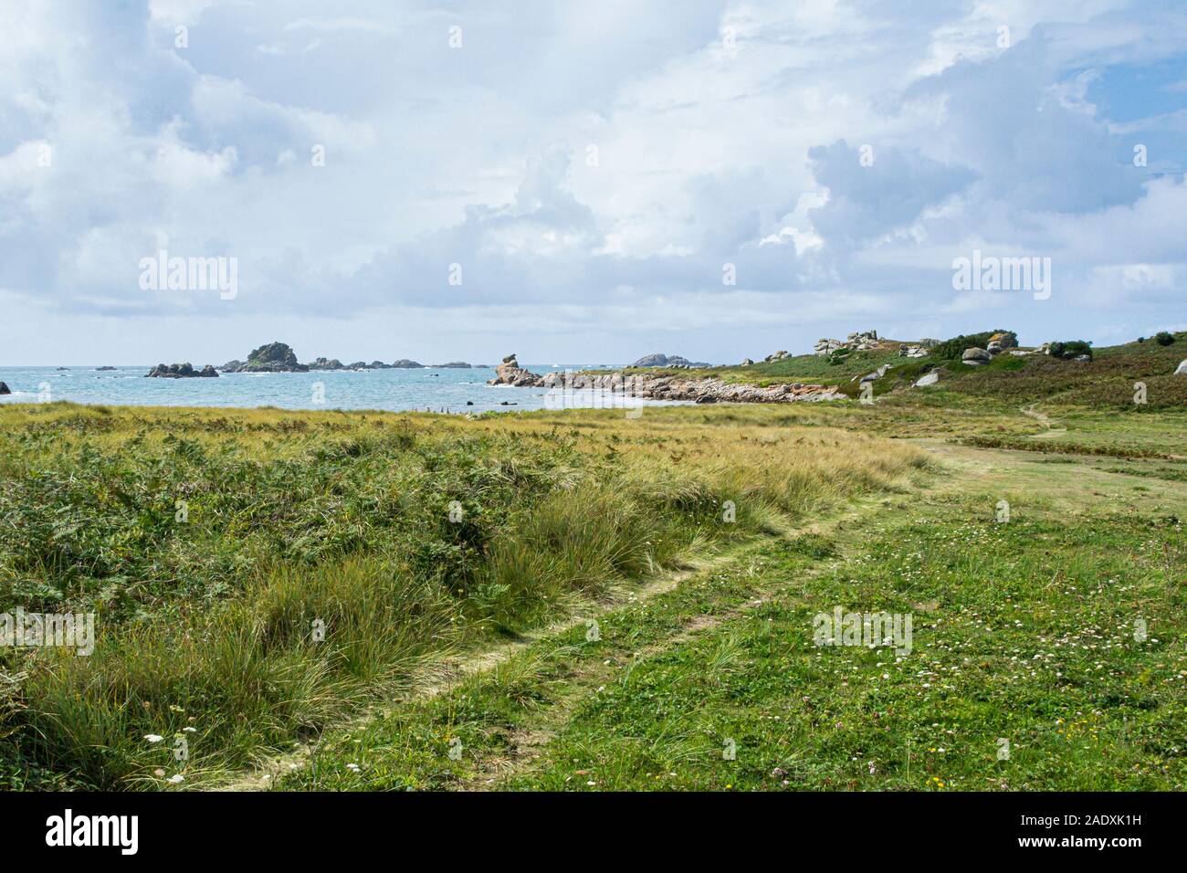 Rushy island hi-res stock photography and images - Alamy