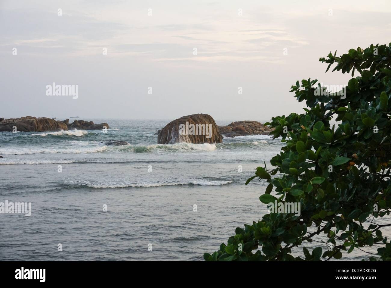 Indian ocean landscape wildlife hi-res stock photography and images - Alamy