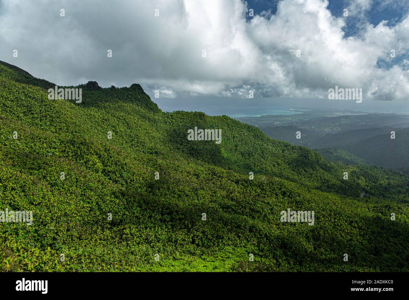 Aerial view of rain forest from Mt. Britton Tower, El Yunque National ...