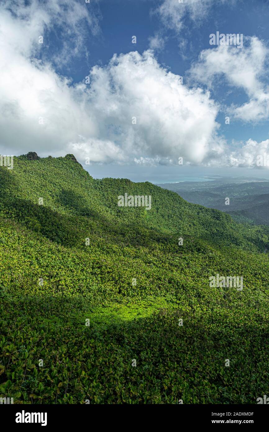 Aerial view of rain forest from Mt. Britton Tower, El Yunque National ...