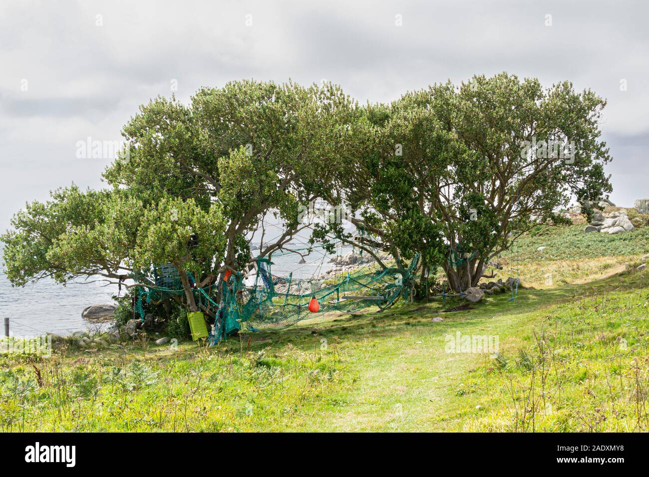 Nets and ropes in trees to make a children's play area on Bryher, Isles ...
