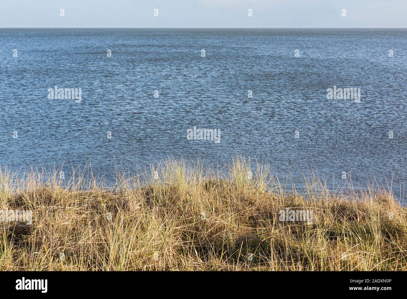 Sylt, Braderuper Heide, Wattenmeer, Informationsschild Stock Photo - Alamy