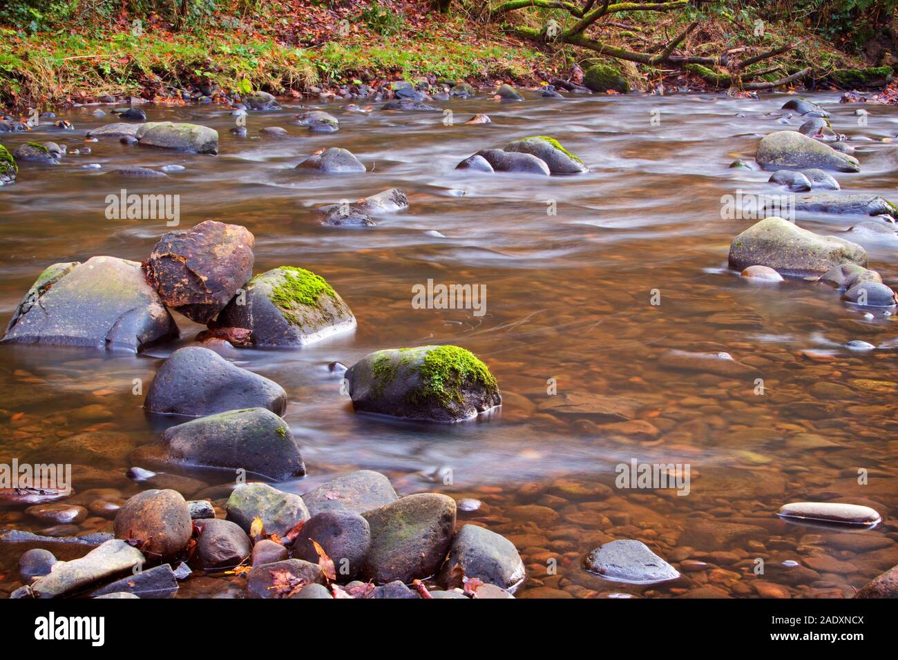 River brock hi-res stock photography and images - Alamy