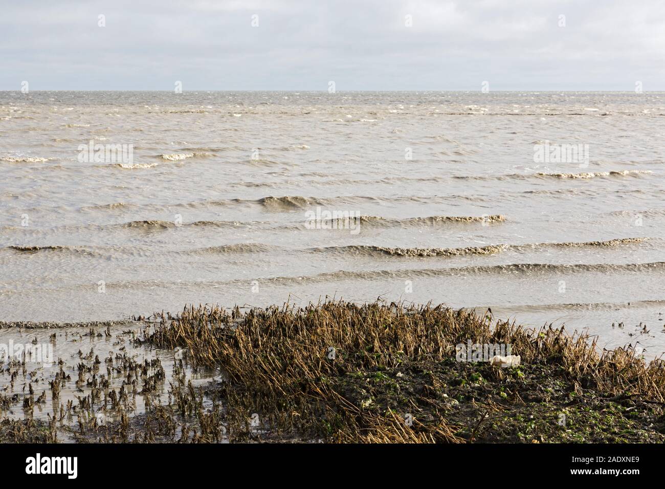Keitum, Sylt, Wattenmeer, Ufer, Flut Stock Photo - Alamy