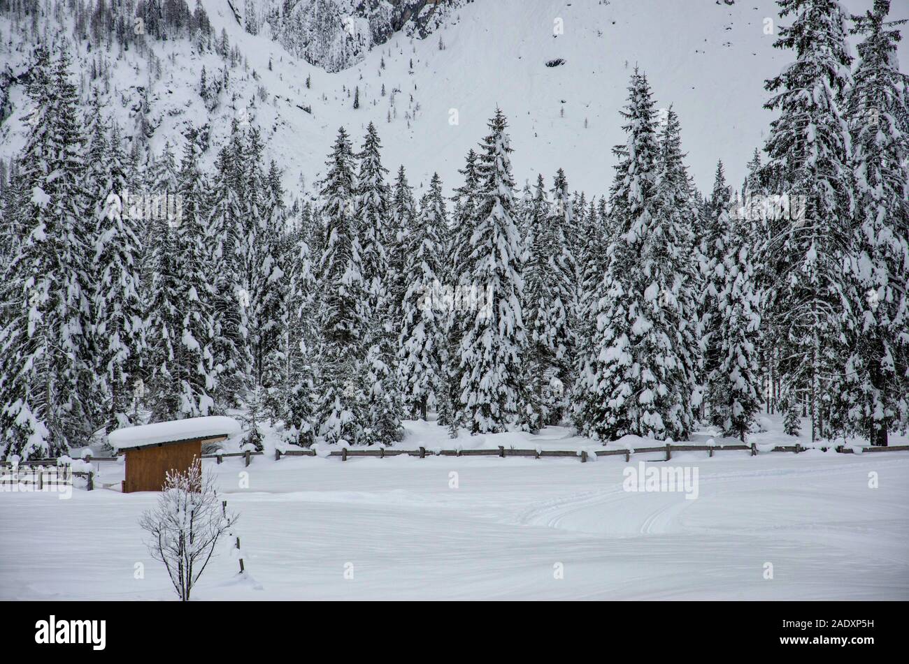 Whitened by hi-res stock photography and images - Alamy