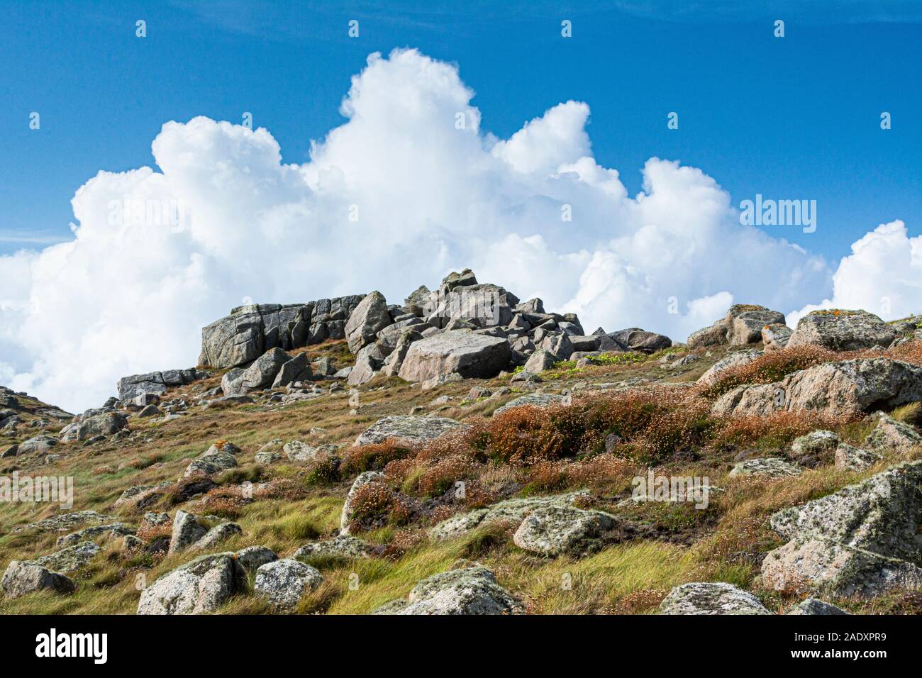 Shipman Head Down, Bryher, Isles of Scilly Stock Photo - Alamy