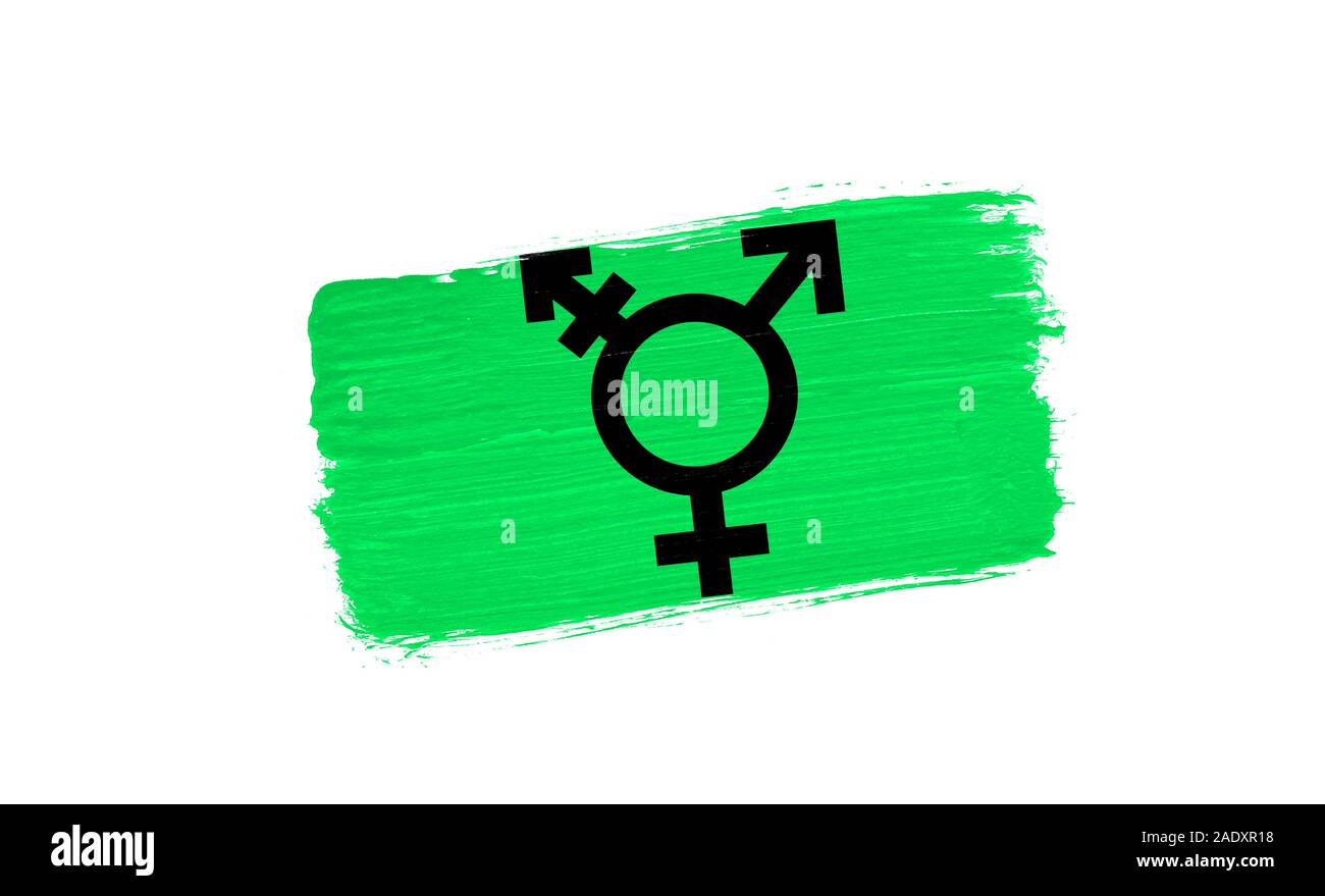 brush painted flag of Israeli Transgender isolated on white background ...