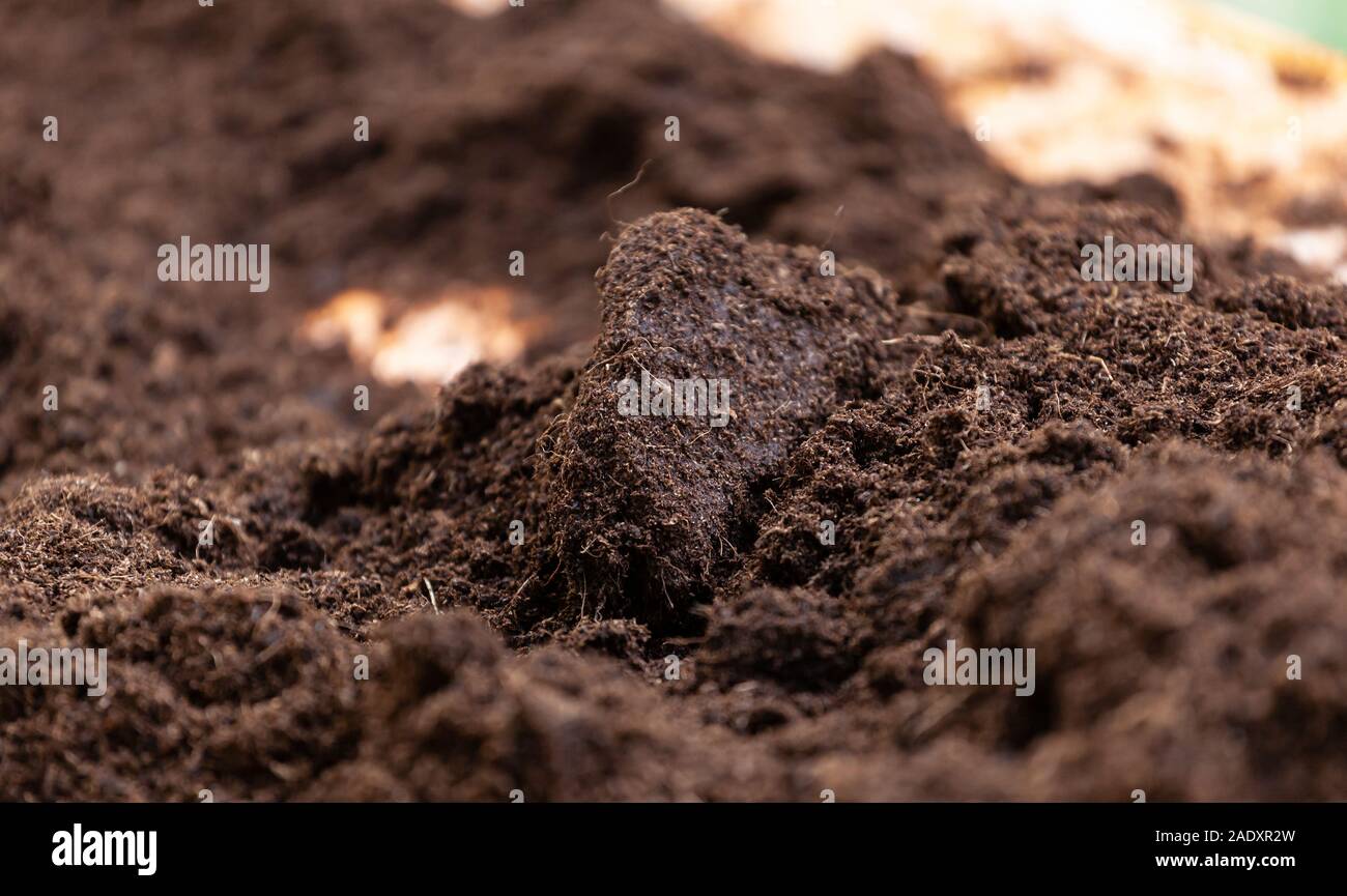 Clean soil for cultivation. The potting soil or peat is suitable for ...