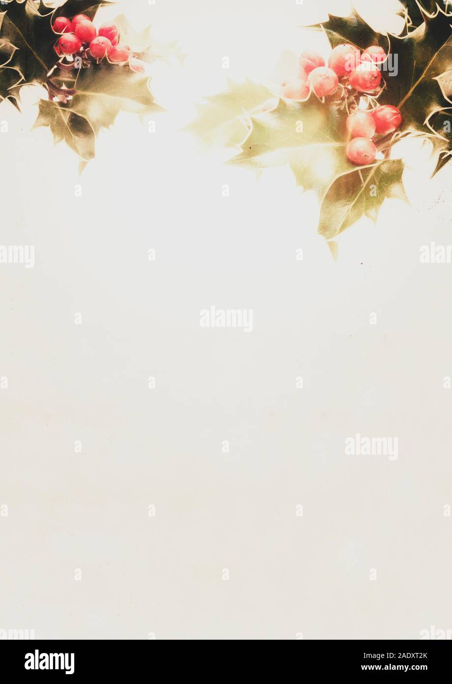 Holly sprigs hi-res stock photography and images - Alamy