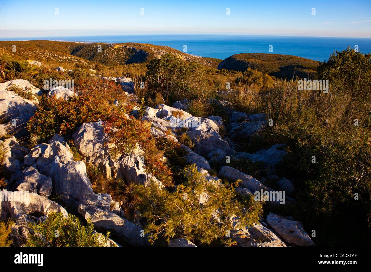 Gryke vegetation hi-res stock photography and images - Alamy