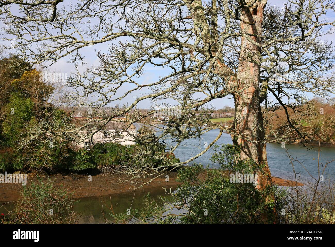 Trelew hi-res stock photography and images - Alamy