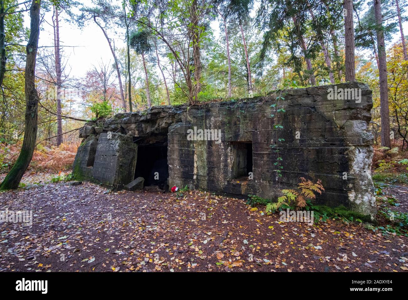 Scott Post bunker , German position named after the commander of the ...