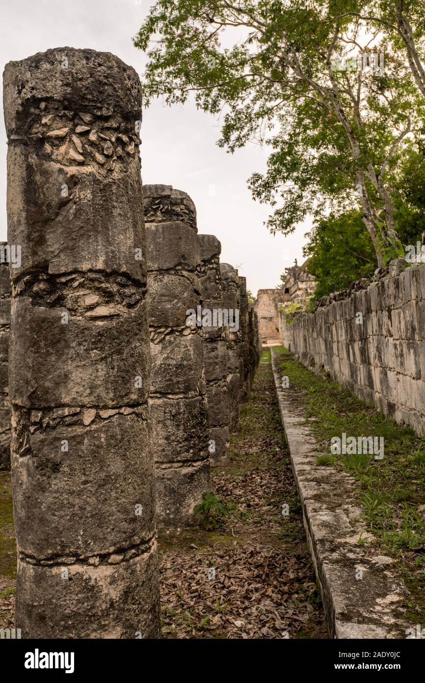 The Hall Of The Thousand Columns (Grupo de las Mil Columna) at Chichen ...