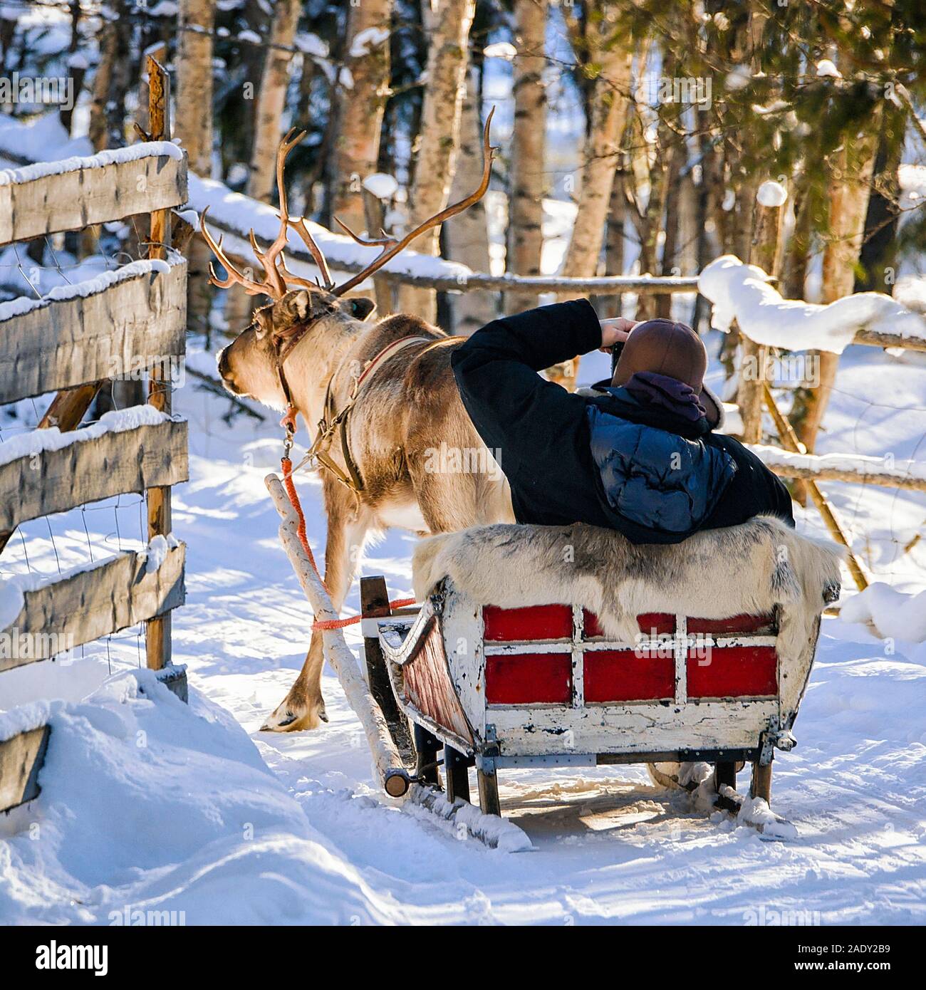 Sami man finnish lapland hi-res stock photography and images - Alamy