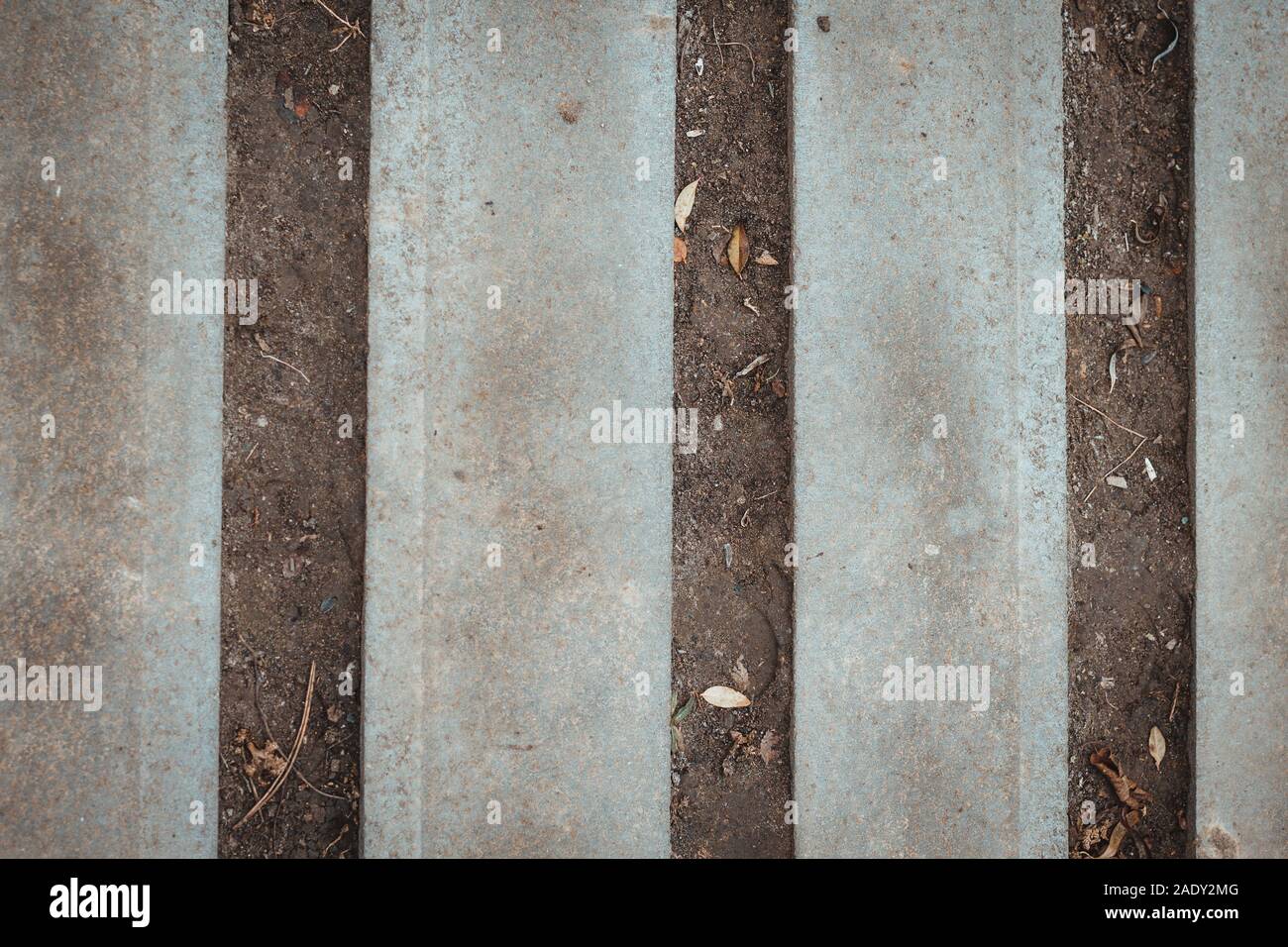 Parallel Lines In Nature