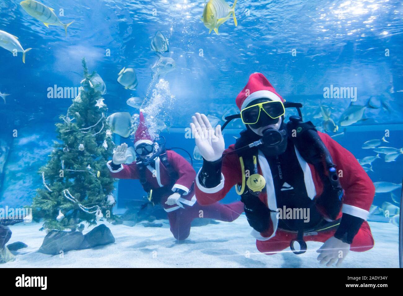 Budapest, Hungary. 5th Dec, 2019. Scuba divers in Santa Claus' costumes ...