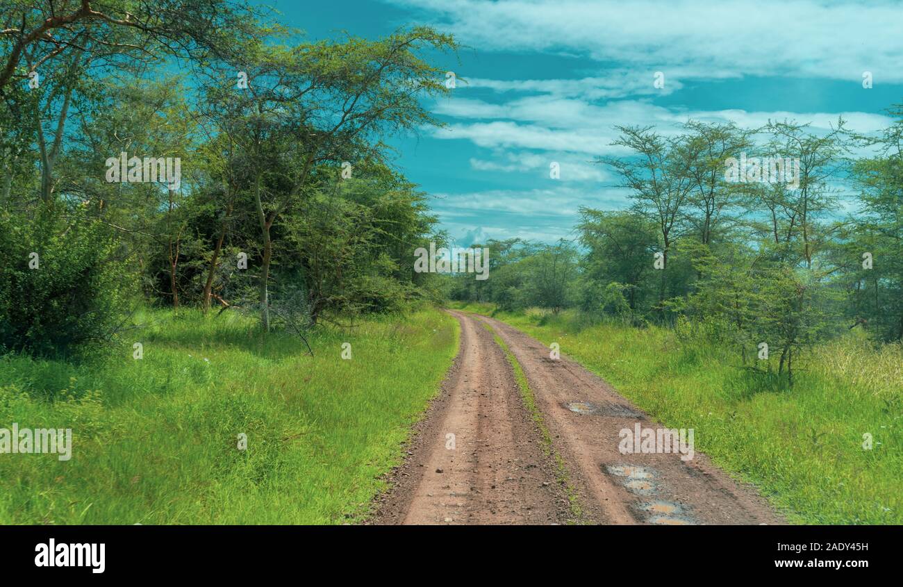 African panorama in Serengeti national park Stock Photo - Alamy