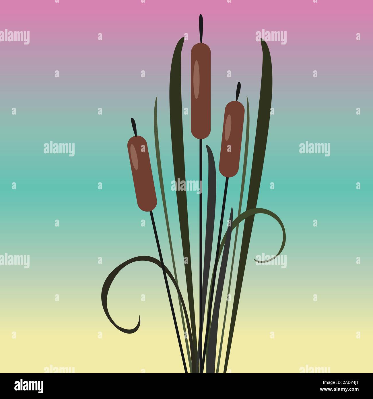 Bush of Swamp Reed on a Lake. vector Illustration Stock Vector Image ...
