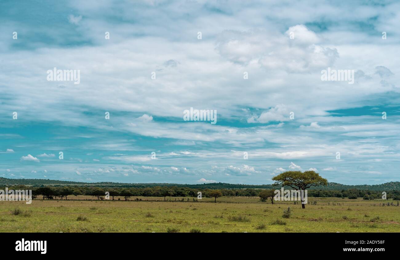 African panorama in Serengeti national park Stock Photo - Alamy