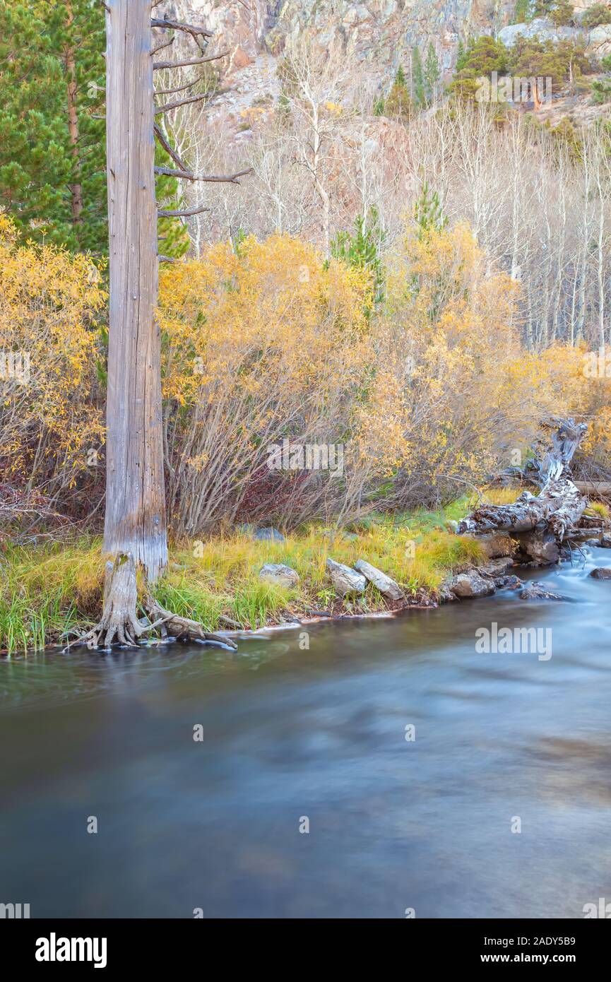 June lake loop creek hi-res stock photography and images - Alamy