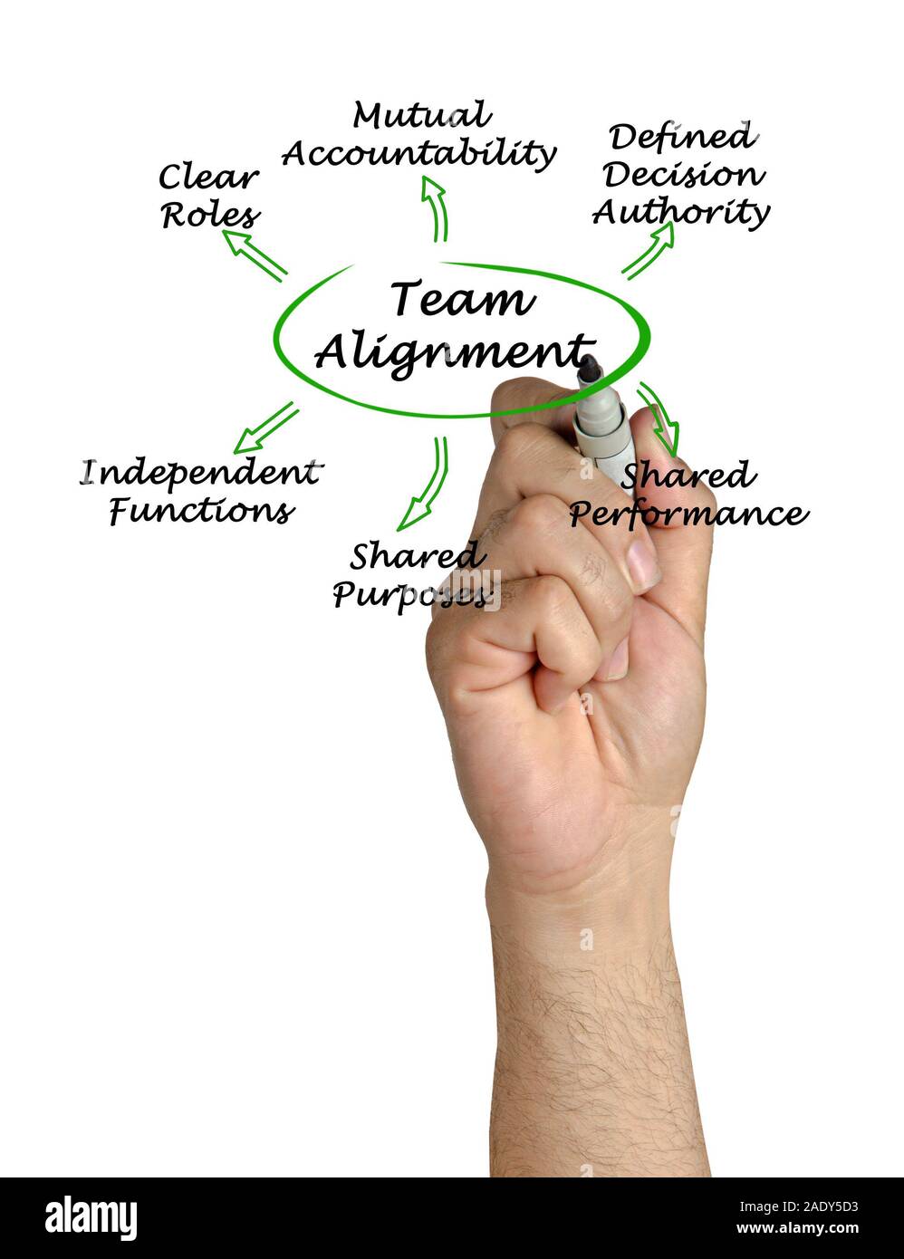 Characteristics of Team Alignment Stock Photo - Alamy