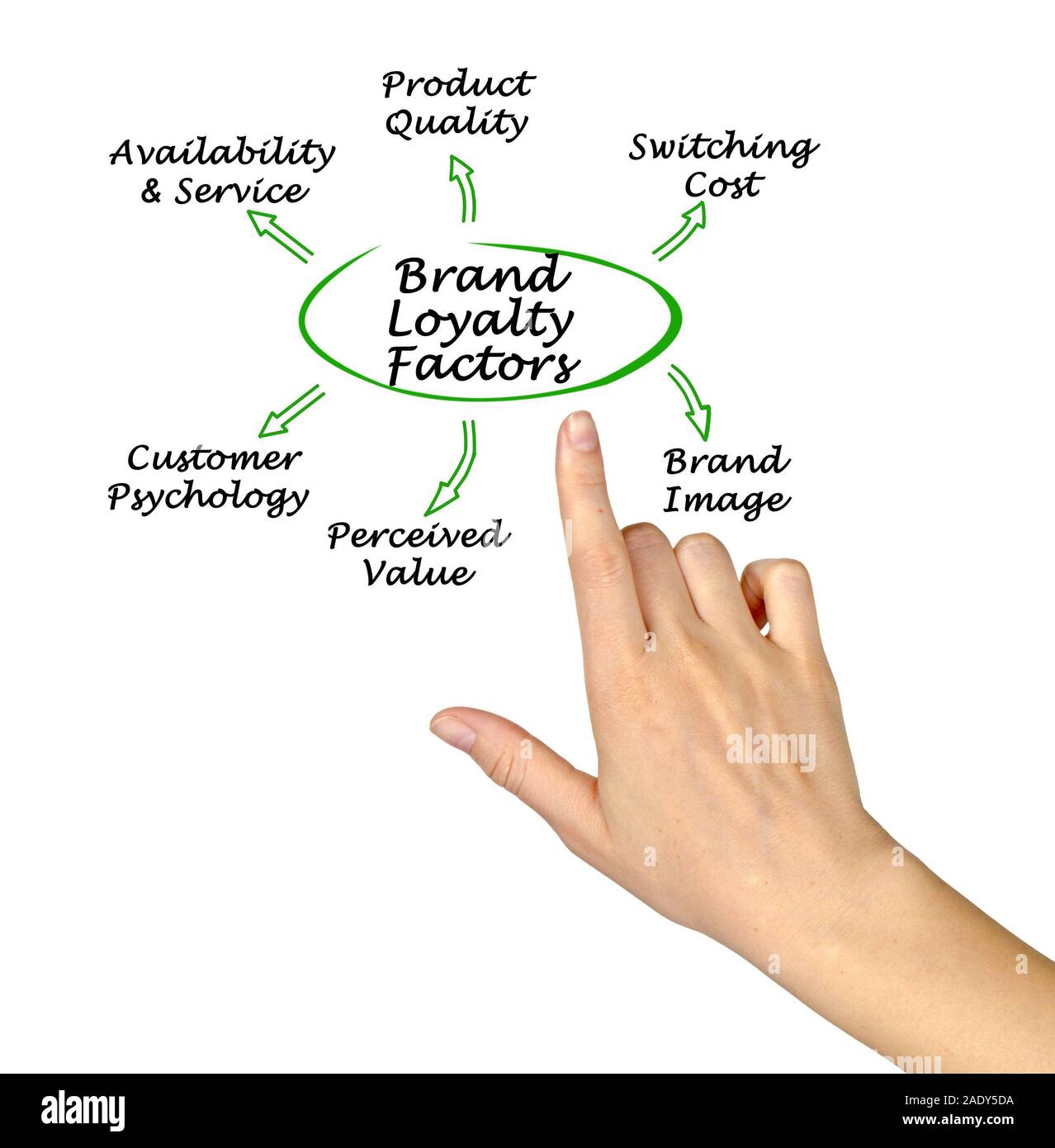 Brand Loyalty Factors Stock Photo - Alamy