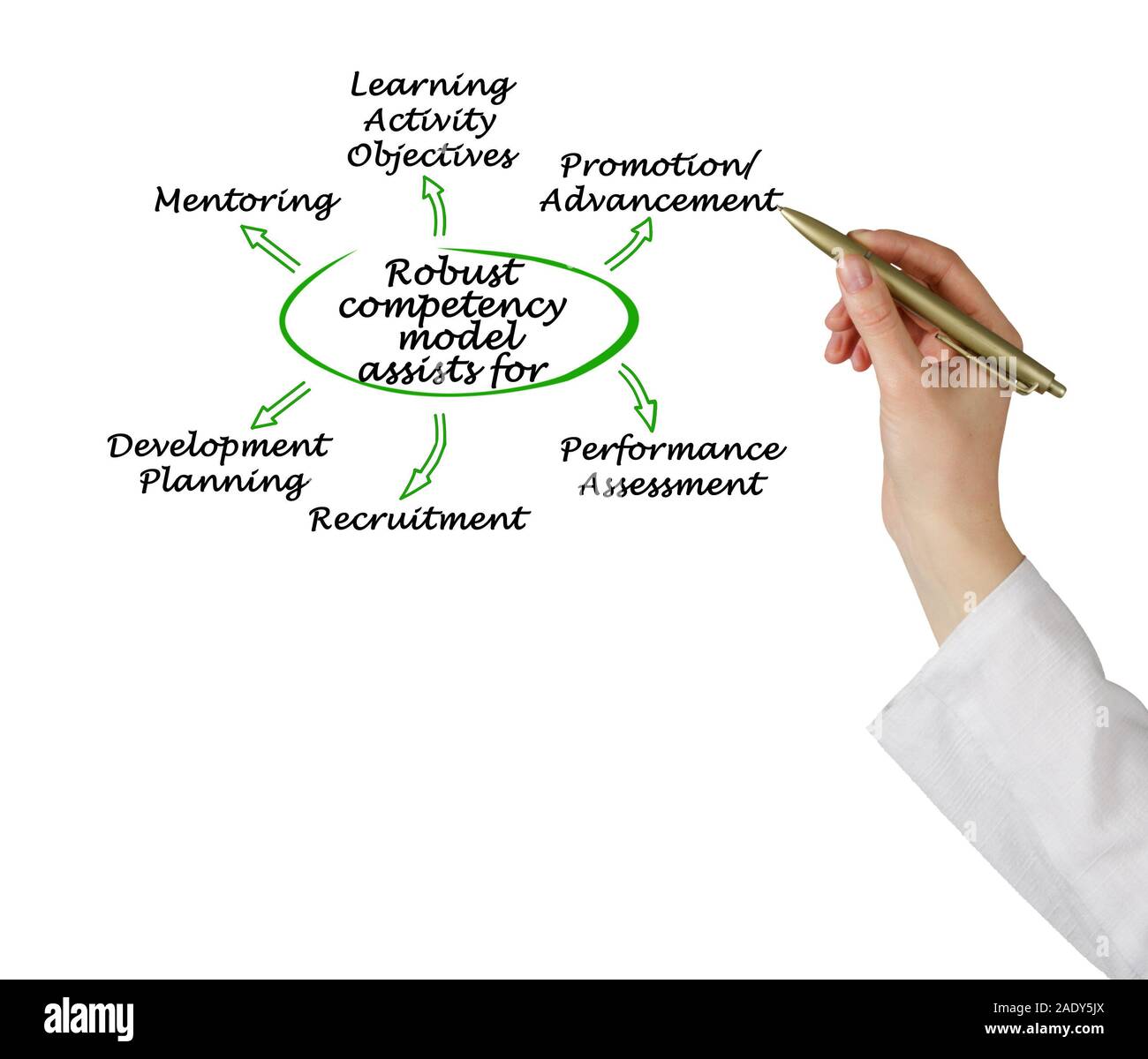 Competency assessment hi-res stock photography and images - Alamy