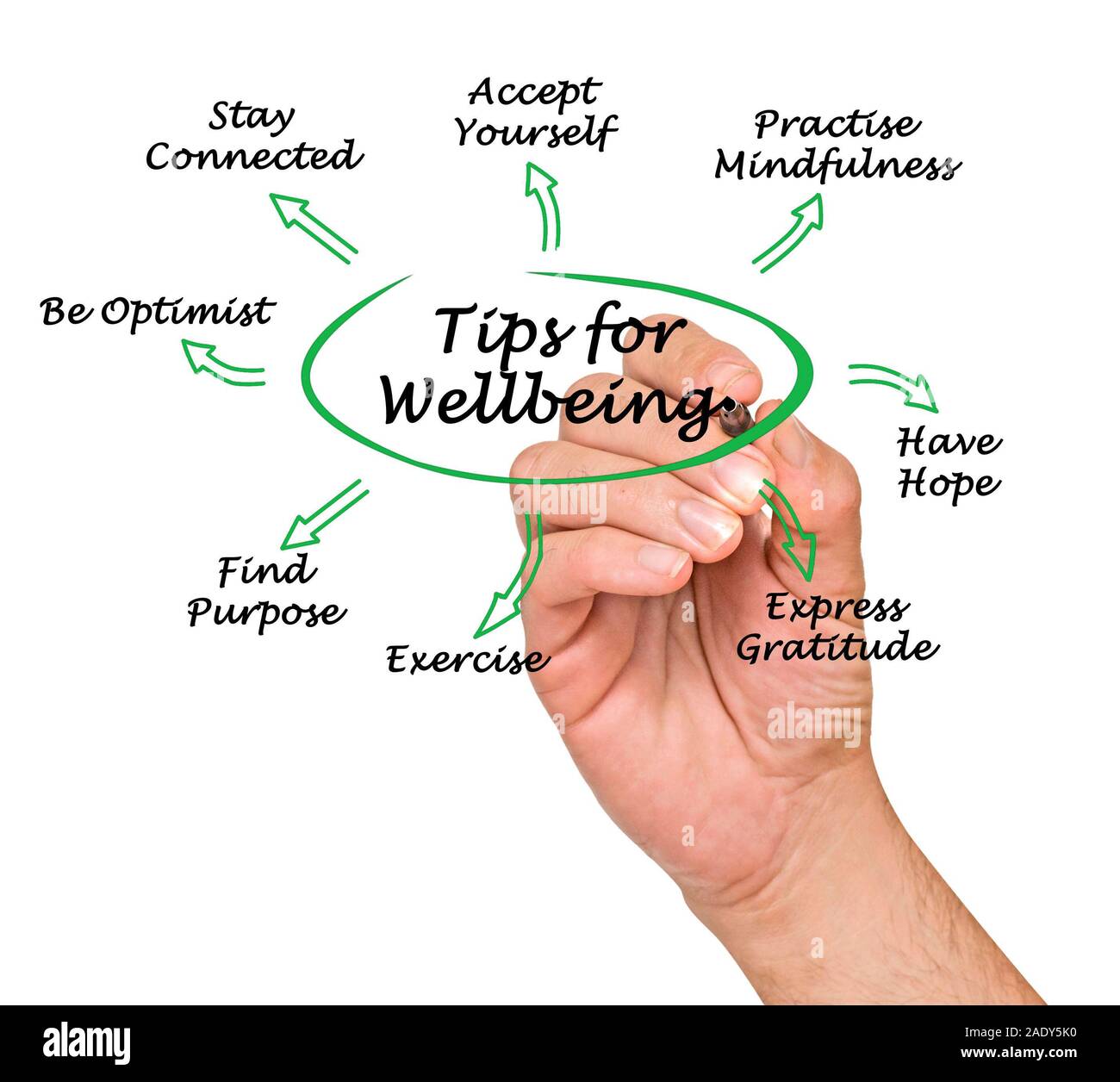 Well connected Cut Out Stock Images & Pictures - Alamy